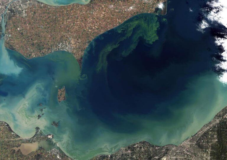 How Geoegineering Ocean Fertilisation Could Save the World